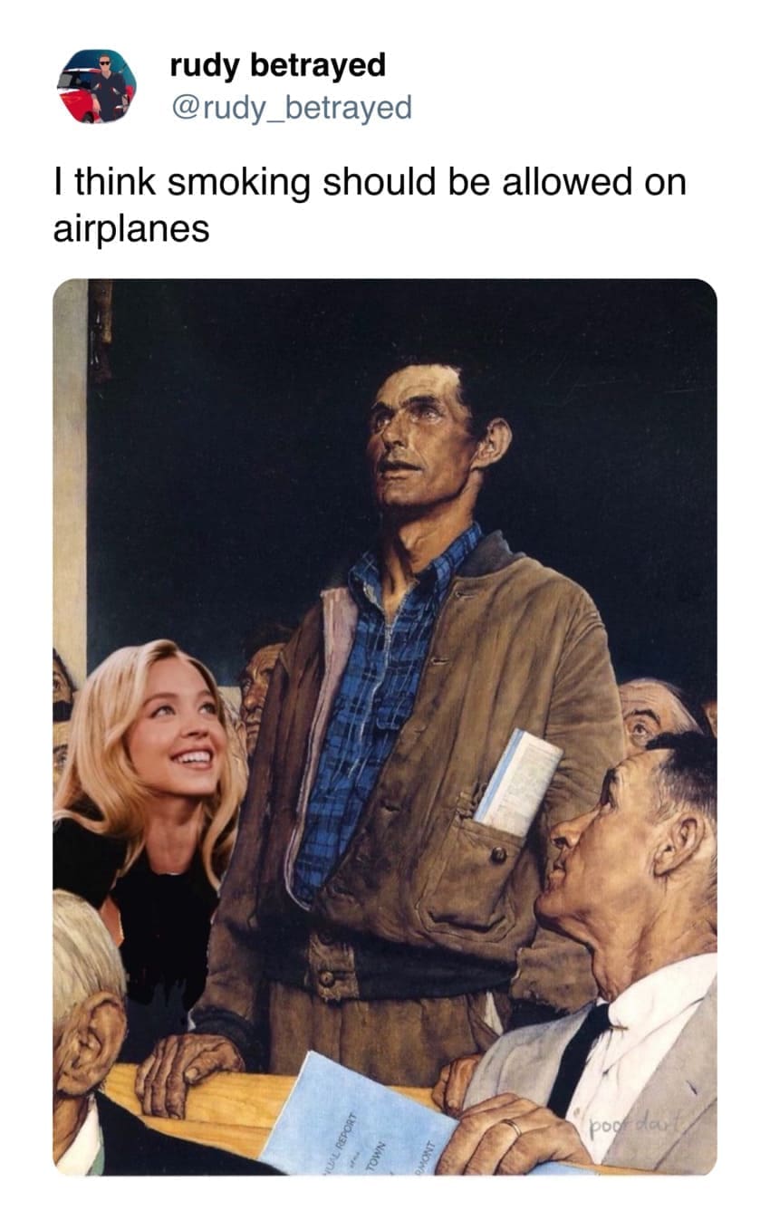 sydney sweeney hot ones memes-32-1-29-2024 - Thunder Dungeon | The ...