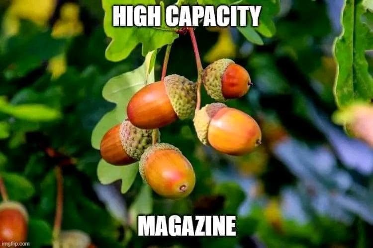 acorn cop memes-12-20240222 - Thunder Dungeon | The Funniest Memes. Period.