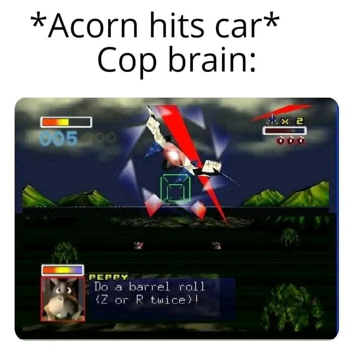 acorn cop memes-14-20240222 - Thunder Dungeon | The Funniest Memes. Period.