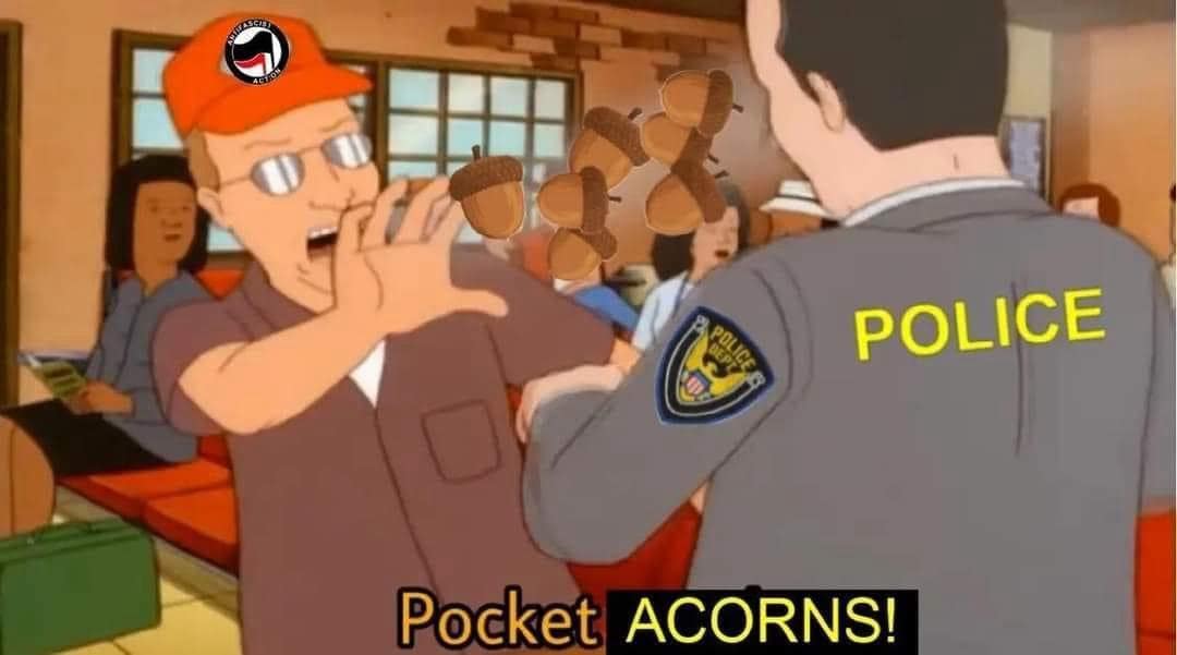 acorn cop memes-3-20240222 - Thunder Dungeon | The Funniest Memes. Period.