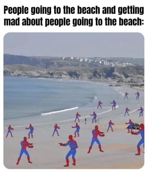 26 Beach Memes to Remind You How Much Fun It Is to Pull Sand Out of ...