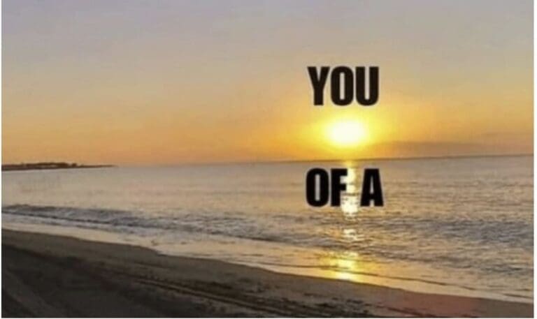 26 Beach Memes to Remind You How Much Fun It Is to Pull Sand Out of ...