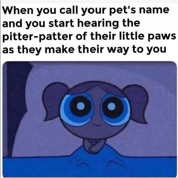 Classic Memes: 25 Little Trips Down Meme-ory Lane