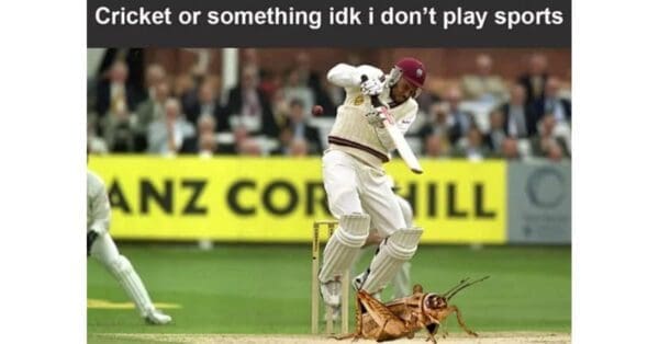 Cricket Memes: 17 Rib-Tickling Memes for Fans of Cricket
