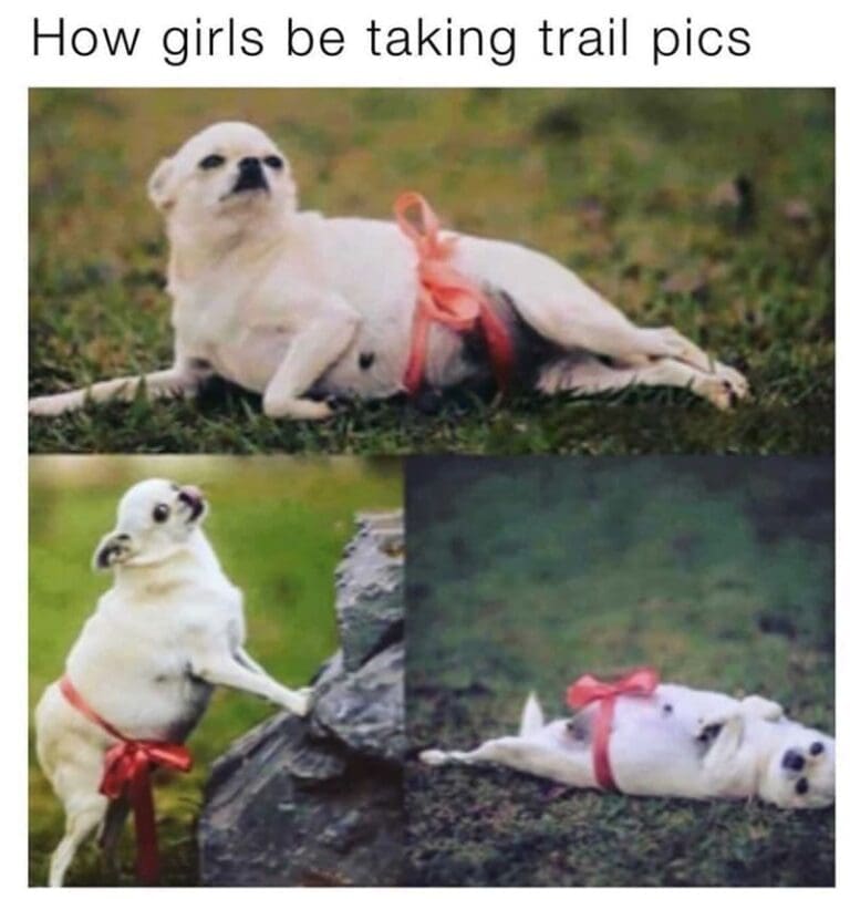 31 Hiking Memes That Are Wayyy Better Than Actually Going Hiking
