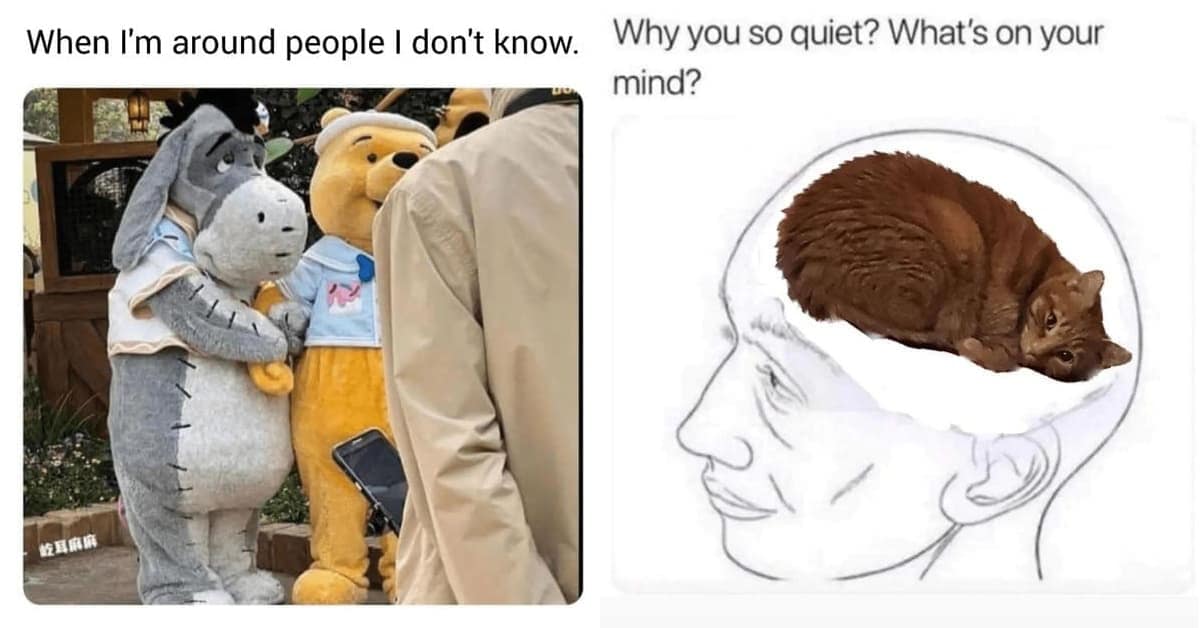Introvert Memes: 40 Memes Embracing the Awkward