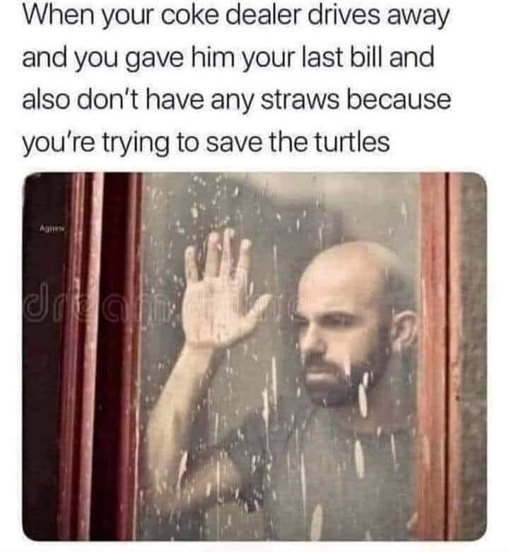 Meme Dump: 30 Hilarious Memes For Your Saturday Shambles