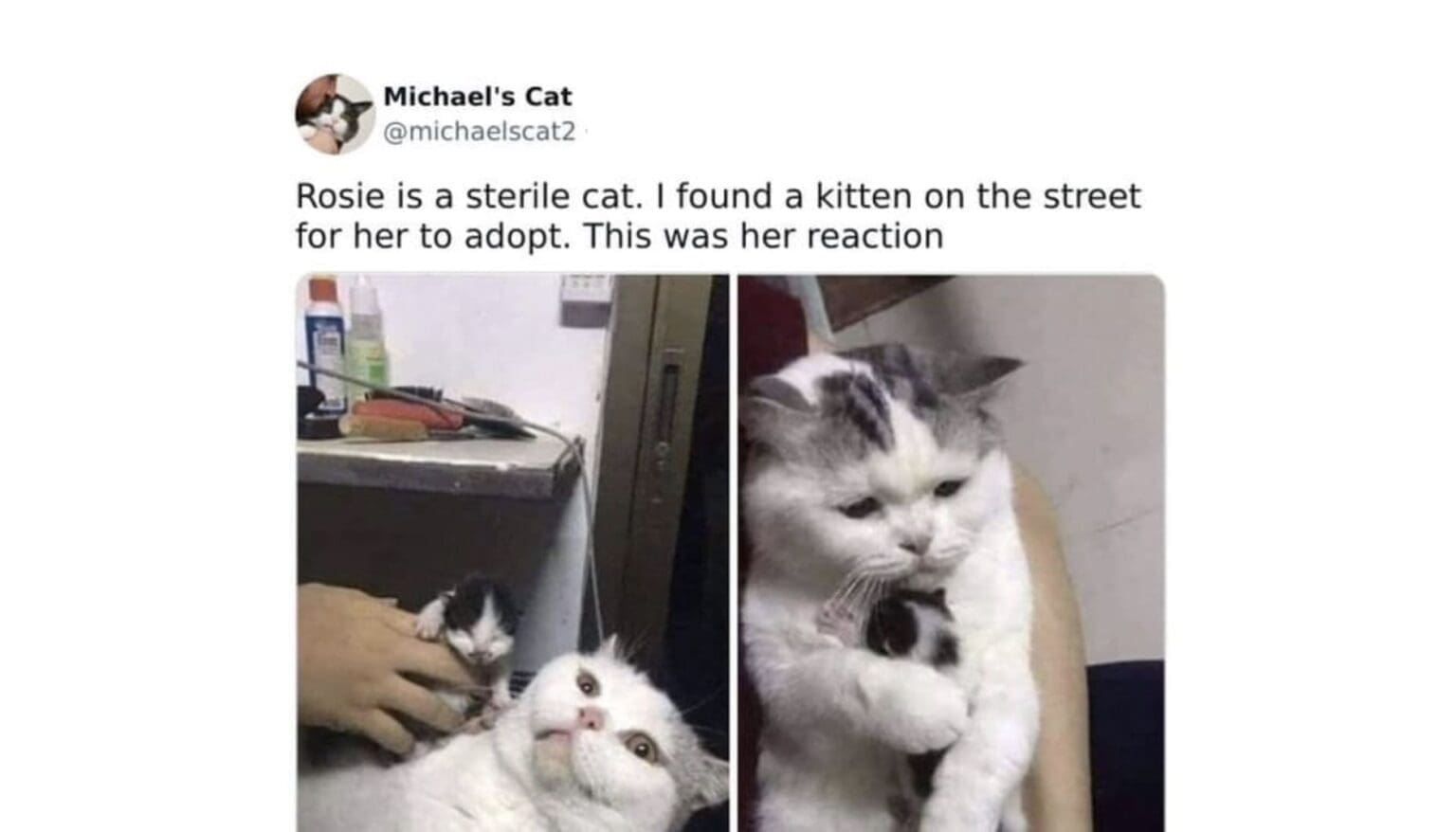 40 Positive Memes That Will Instantly Make You Feel Better About Life