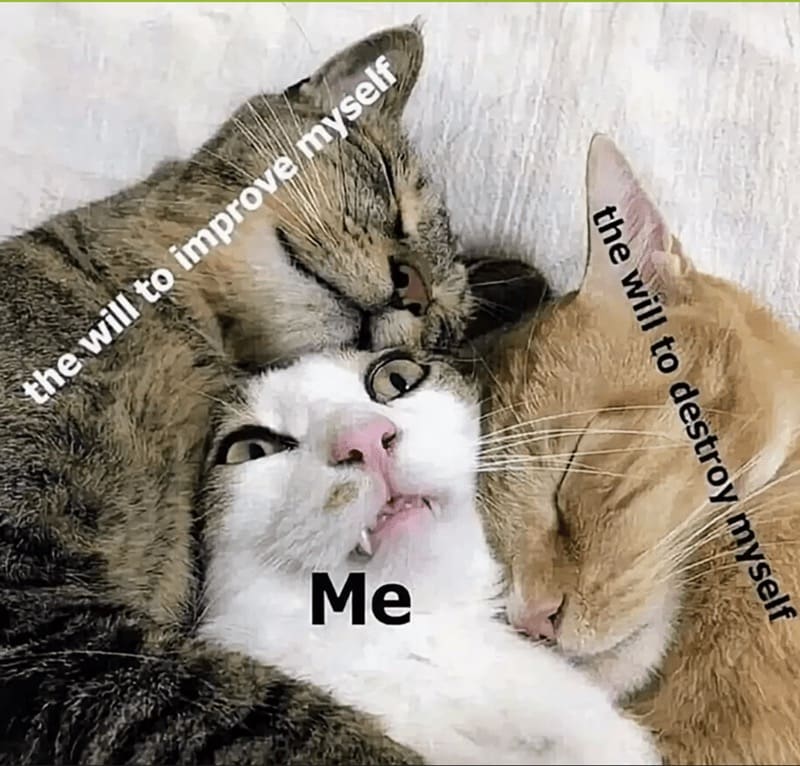 self care memes-31-2-7-2024 - Thunder Dungeon | The Funniest Memes. Period.