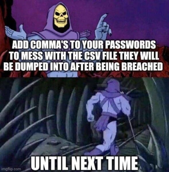 Skeletor Memes: 40 Memes For An Evil Cackle