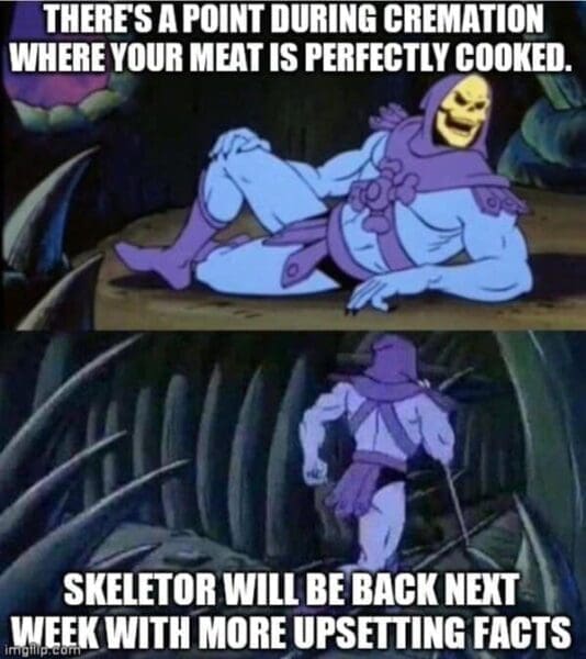 Skeletor Memes: 40 Memes For An Evil Cackle