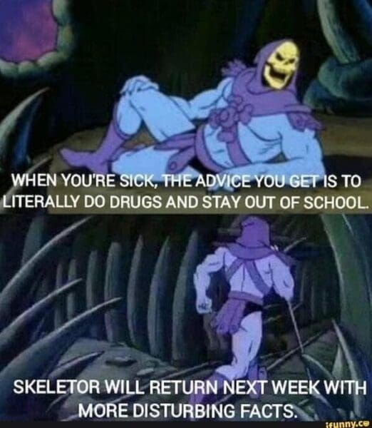 Skeletor Memes: 40 Memes For An Evil Cackle