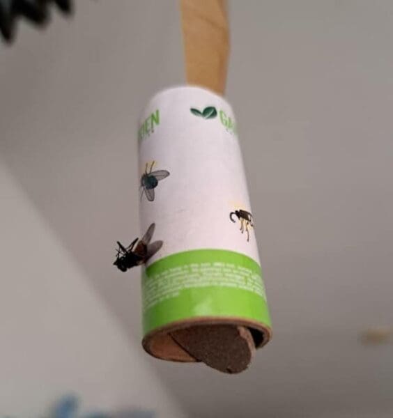 30 Tasks Failed Successfully That Turned Failure Into Success (Somehow)