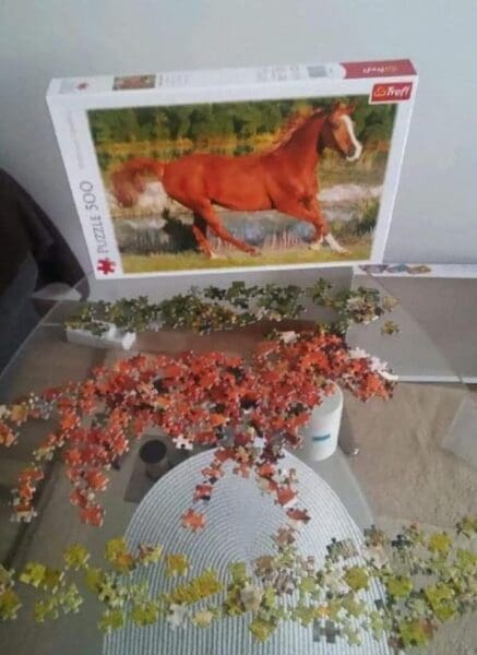 30 Tasks Failed Successfully That Turned Failure Into Success (Somehow)