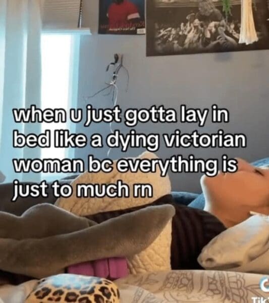 35 TikTok's Gone Wild: Screenshots of the Internet's Weirdest Moments