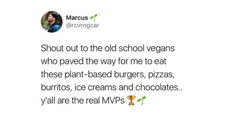 Vegan Memes: 45 Plant Based Jokes for the Vegans
