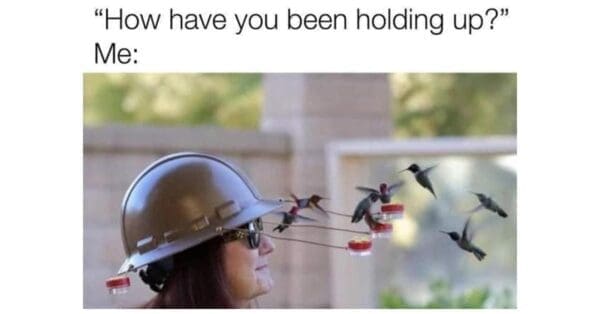Birding Memes: 30 Memes for the Birdwatching Hobbyist