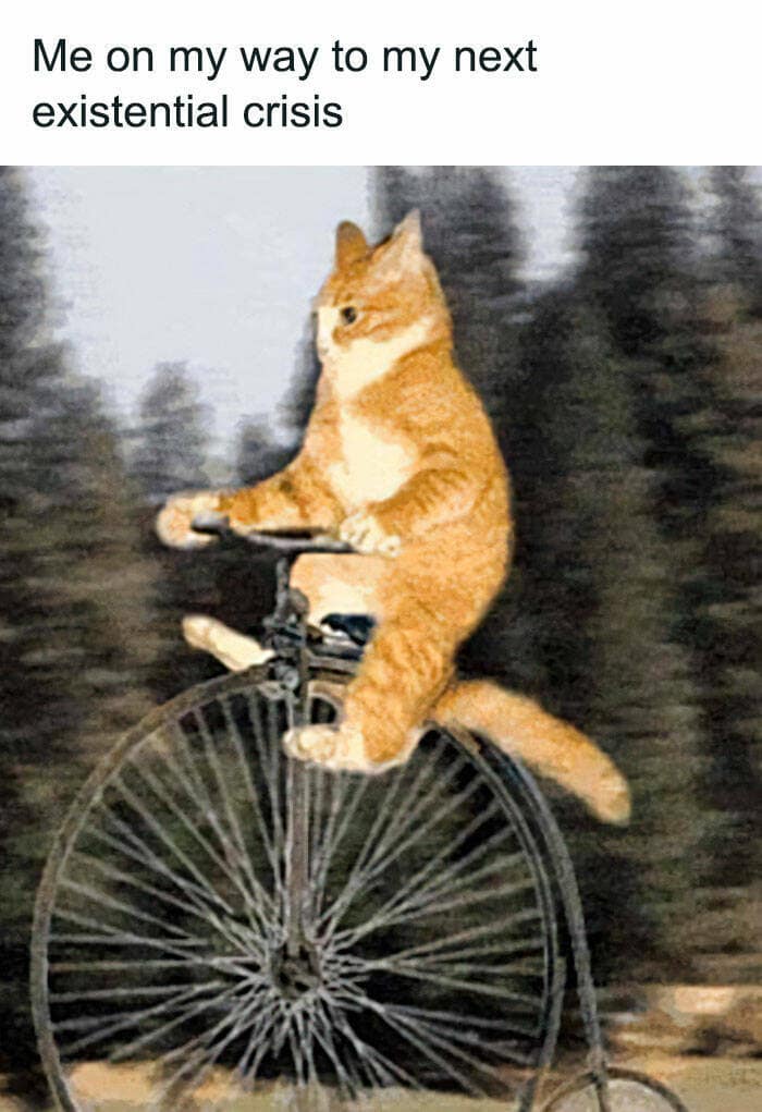 brain memes-46-3-15-2024 - Thunder Dungeon | The Funniest Memes. Period.