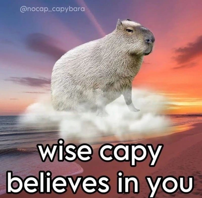 capybara memes-13-20240311 - Thunder Dungeon | The Funniest Memes. Period.