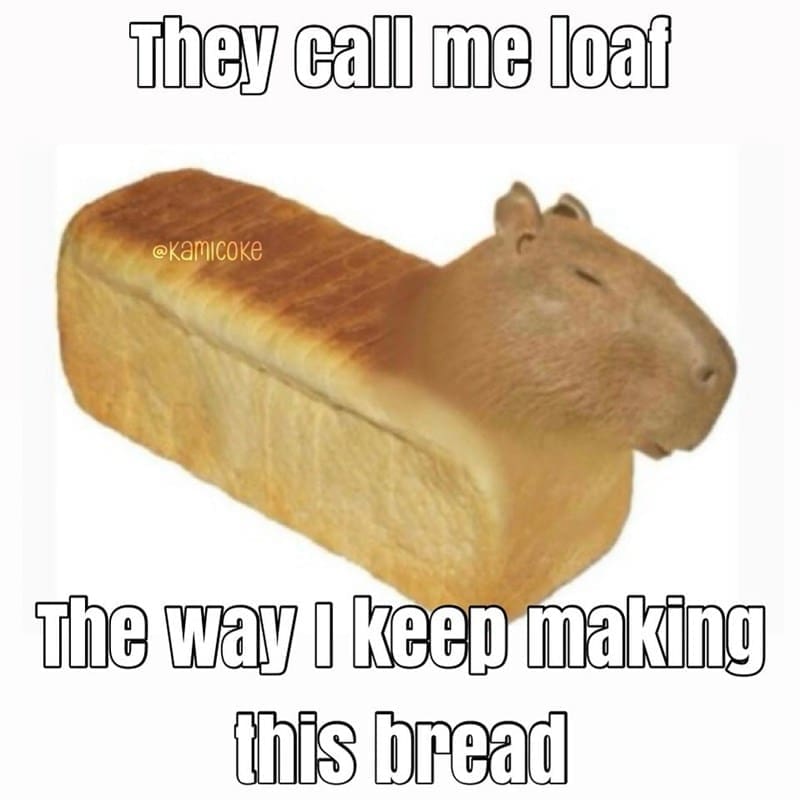 capybara memes-24-20240311 - Thunder Dungeon | The Funniest Memes. Period.