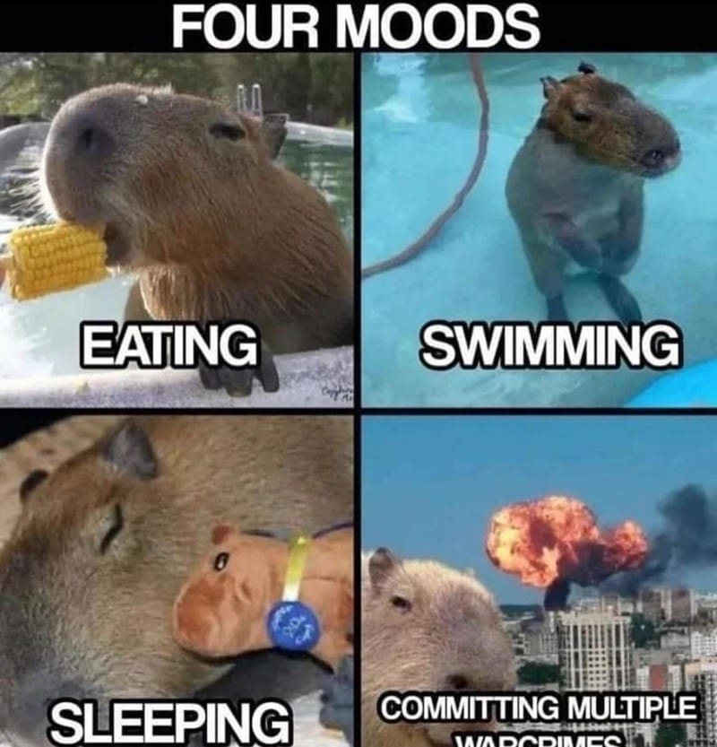 capybara memes-30-20240311 - Thunder Dungeon | The Funniest Memes. Period.