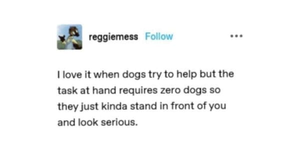 Thunder Dungeon | The Funniest Memes. Period.