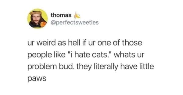 Thunder Dungeon | The Funniest Memes. Period.