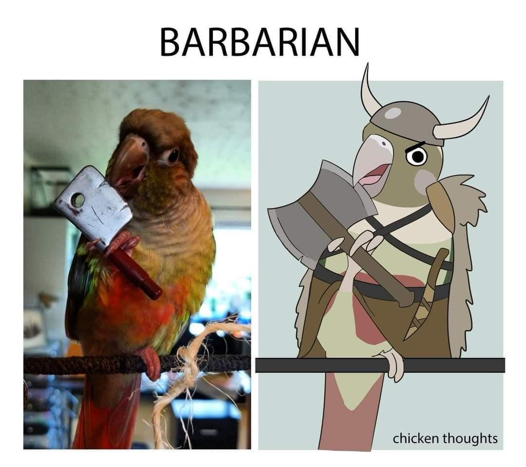 d&d memes-dnd memes-daily-20240328-2-20240328 - Thunder Dungeon | The ...