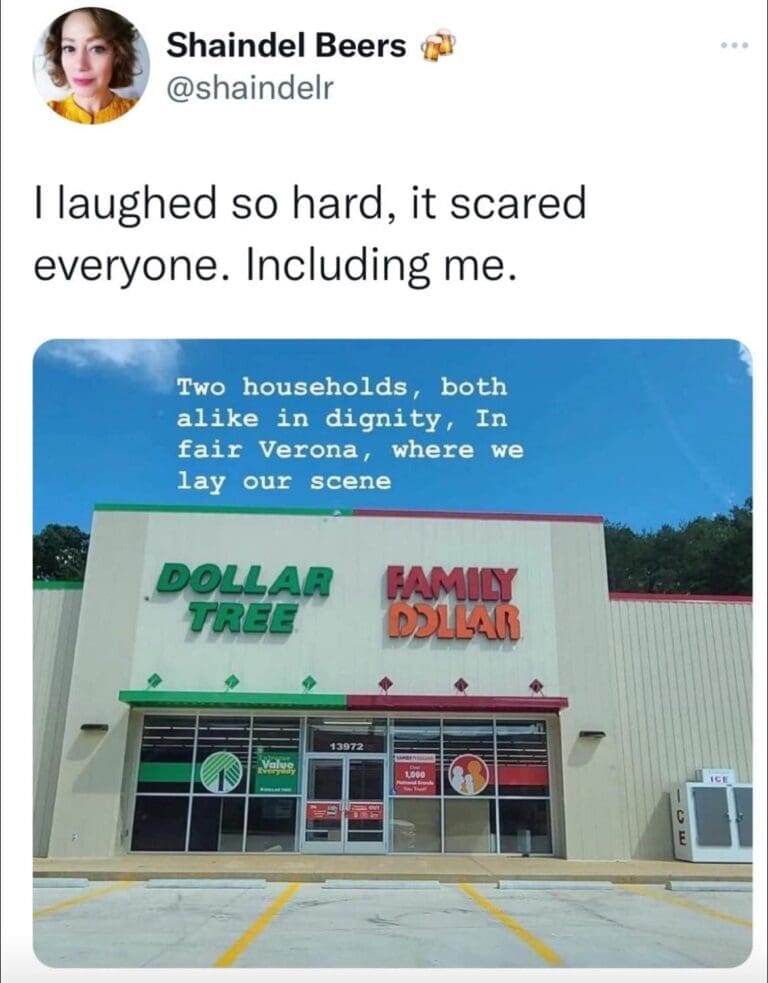 Dollar Tree Memes: 29 Memes To Honour The Store Closures