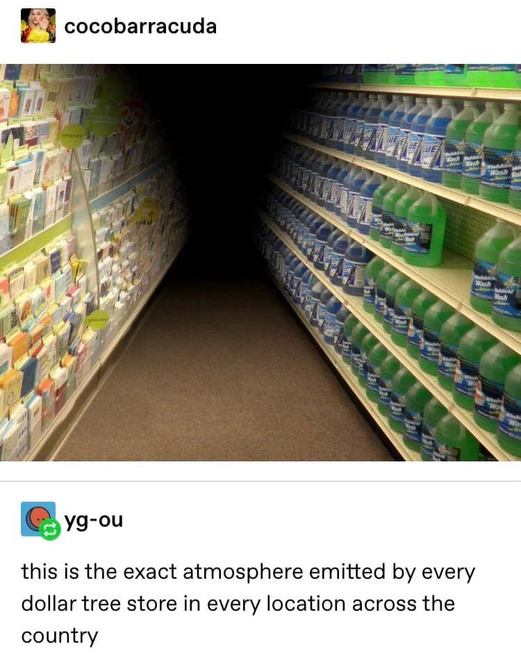 dollar tree memes-20-20240313 - Thunder Dungeon | The Funniest Memes ...