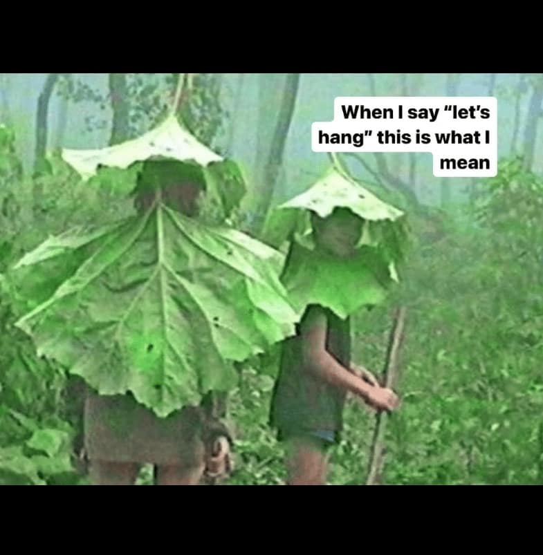 foraging memes-30-3-1-2024 - Thunder Dungeon | The Funniest Memes. Period.