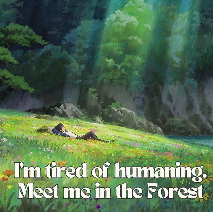 foraging memes-33-3-1-2024 - Thunder Dungeon | The Funniest Memes. Period.