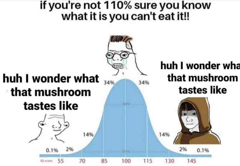 foraging memes-5-2-27-2024 - Thunder Dungeon | The Funniest Memes. Period.