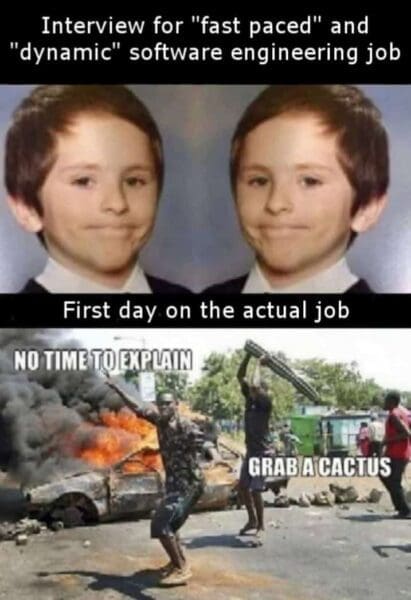 37 Funny Technology Memes for Those That Chose the BUG Life