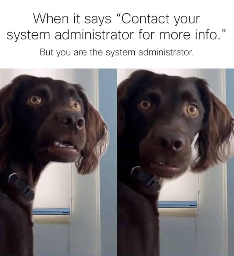 37 Funny Technology Memes for Those That Chose the BUG Life