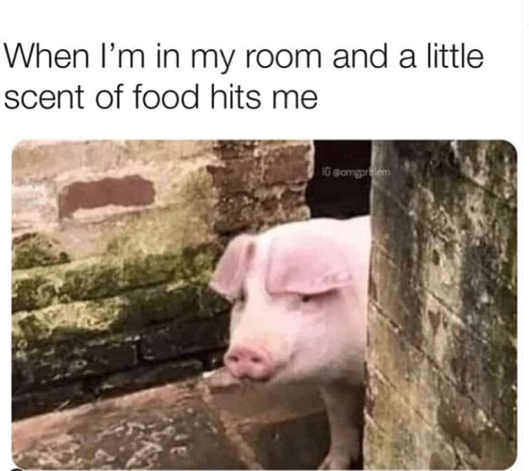 36 Hungry Memes That Perfectly Capture the Stages of Hunger-Induced ...