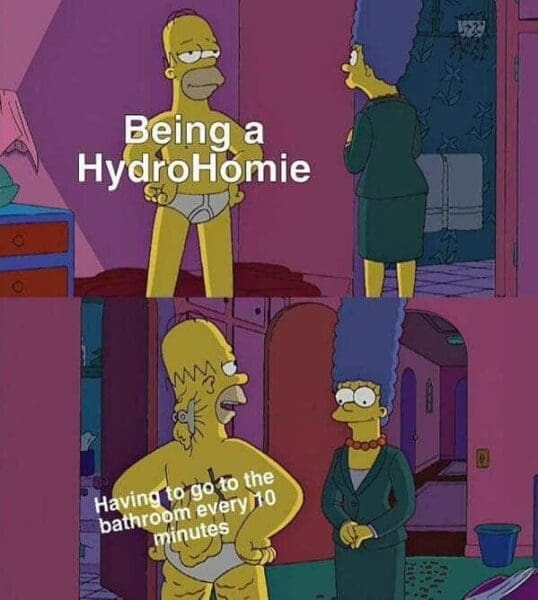 H2Flow: 32 Hydration Memes That Remind Us We Should Probably Drink Some ...
