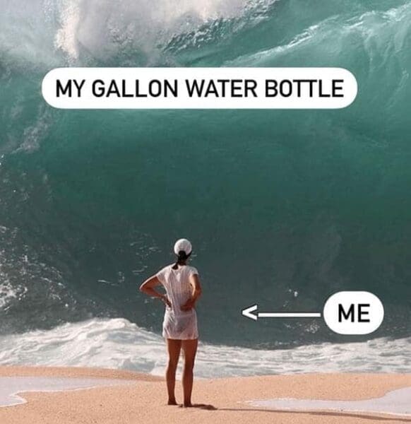 H2Flow: 32 Hydration Memes That Remind Us We Should Probably Drink Some ...