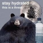 H2Flow: 32 Hydration Memes That Remind Us We Should Probably Drink Some ...