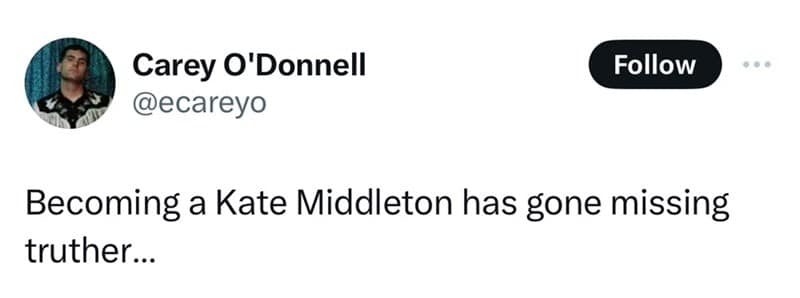 kate middleton memes-8-20240319 - Thunder Dungeon | The Funniest Memes ...