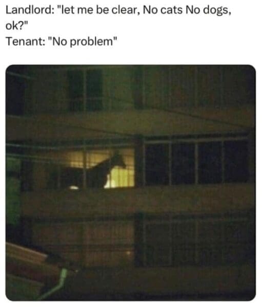 Landlord Memes: 40 Memes For The Renters