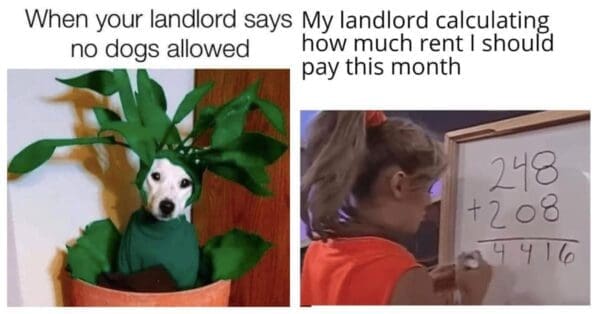 Landlord Memes: 40 Memes For The Renters