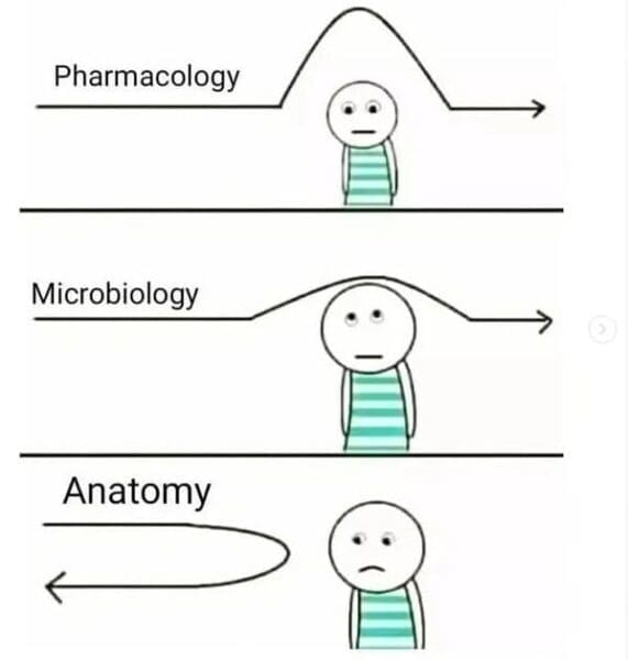 30 Nursing Memes That Go From Bedpans to Break Rooms