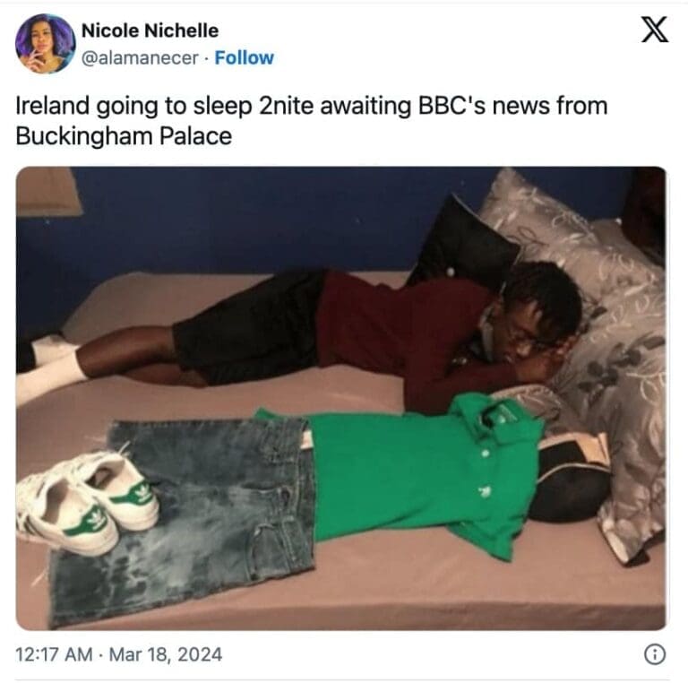 Royal Announcement Memes: 21 Hilarious Reactions So Far