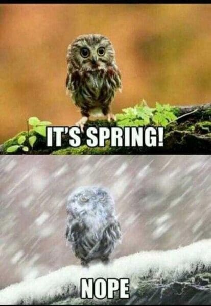 43 Spring Memes to Cure Your Winter Woes (Maybe Not Your Allergies)