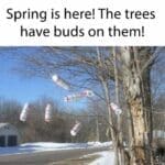 43 Spring Memes to Cure Your Winter Woes (Maybe Not Your Allergies)