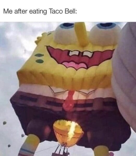 30 Taco Bell Memes Even a Taco Bell Bathroom Couldn’t Contain