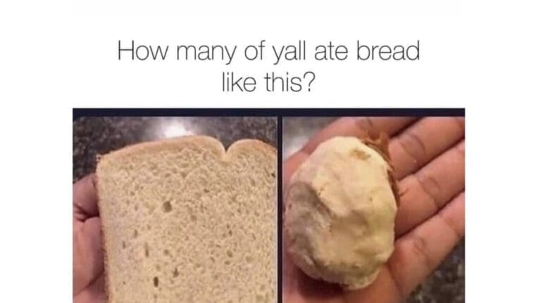 33 Hilarious Food Memes That Will Have You Saying "Relatable" Between Bites