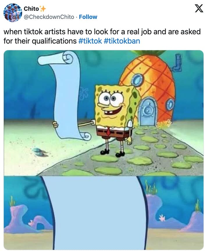 tik tok ban memes-15-20240314 - Thunder Dungeon | The Funniest Memes ...