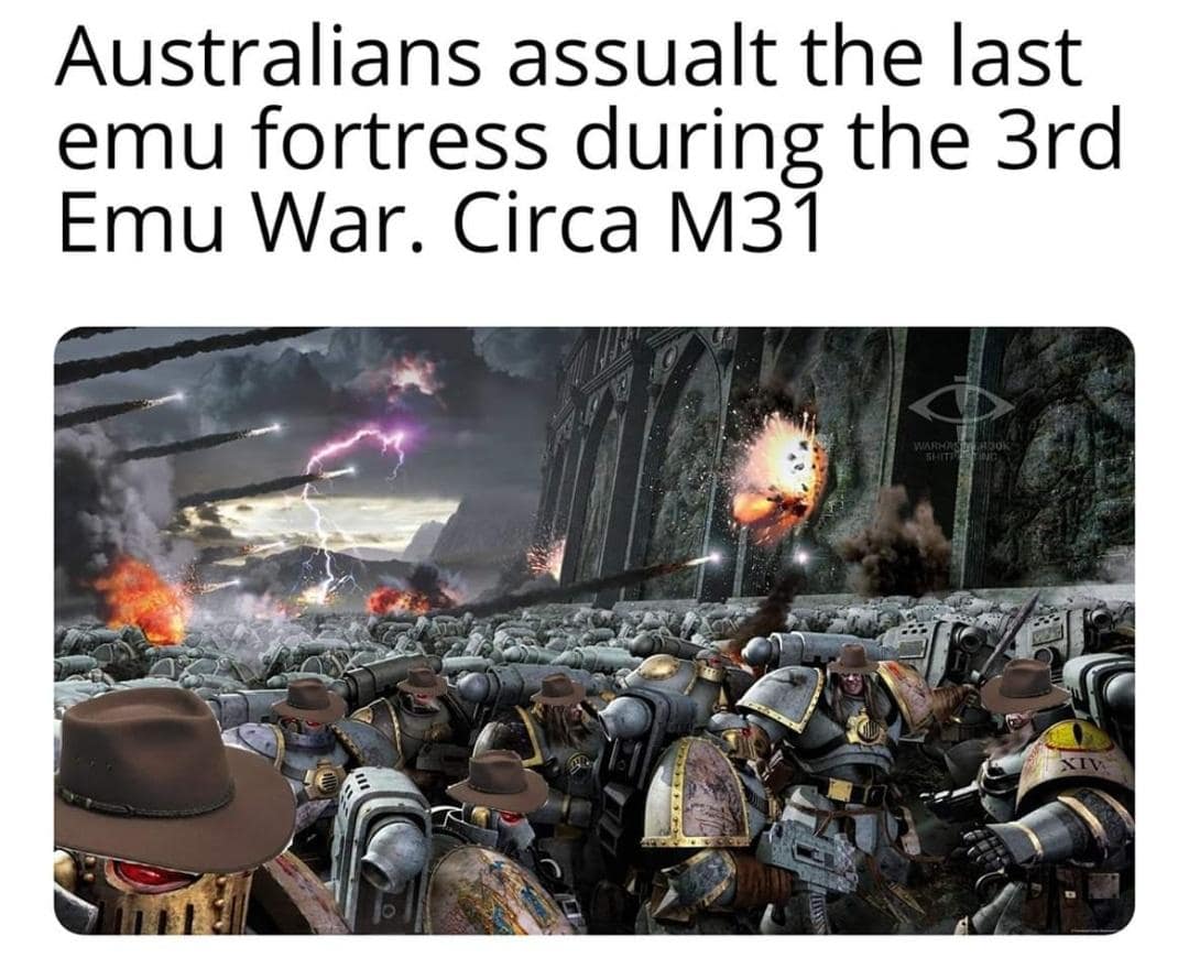 warhammer 40k memes-21-20240324 - Thunder Dungeon | The Funniest Memes ...